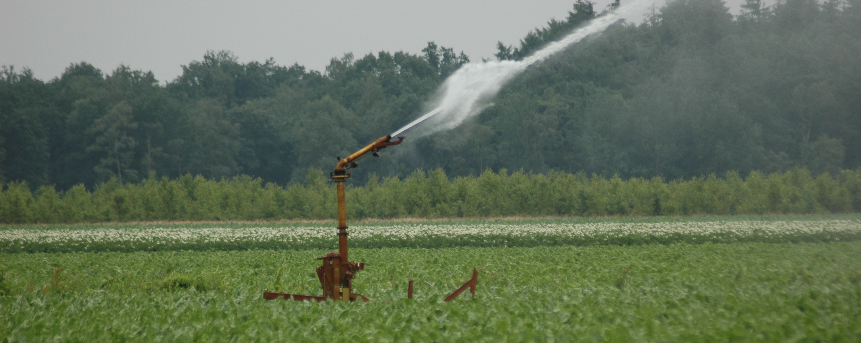 Van Gorp Bronbemaling & Bronboring BV